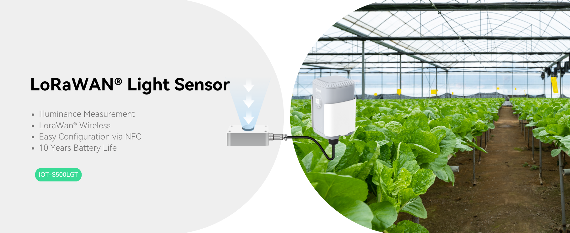 LoRaWAN Wireless Light Sensor for Ambient Light Intensity Detection ...